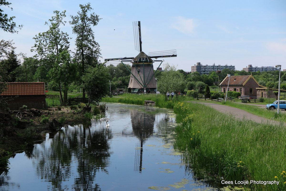 de vliger - Vlietnieuws